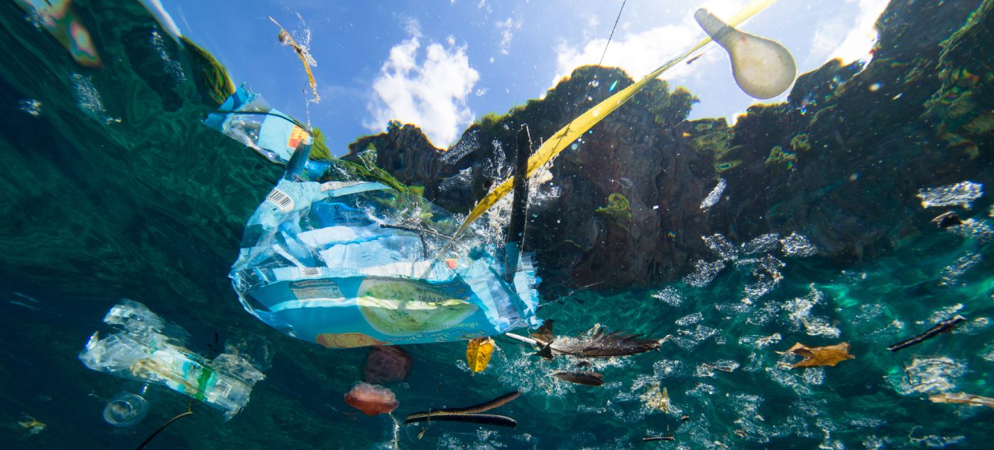 Sustainability | Ocean's https://oceans.ca/sustainability/