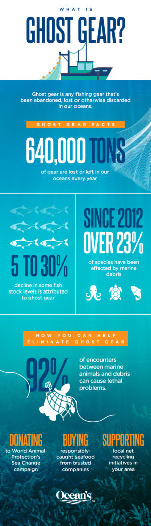 Ghost Gear - How Abandoned Fishing Gear Threatens Oceans
